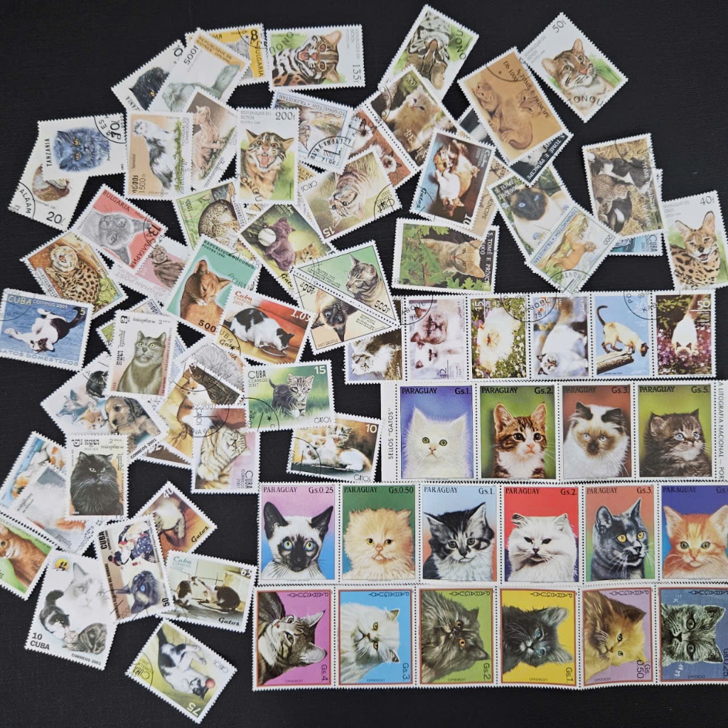 Combo 100 con tem họ nhà mèo, không trùng lặp | Shopee Việt Nam