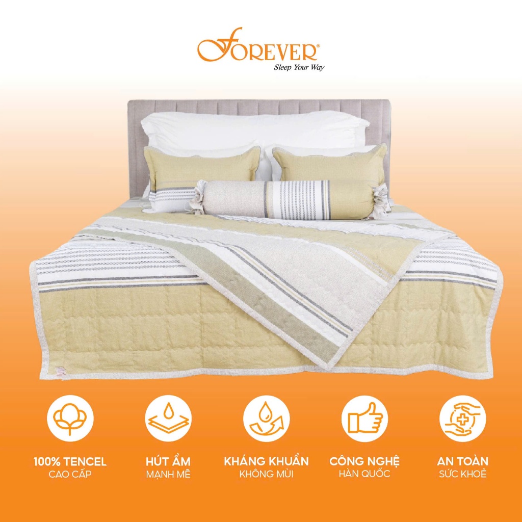 Bộ ga chun chăn mỏng 23f Forever Elegant H146 set 4 món cao cấp 100% ...