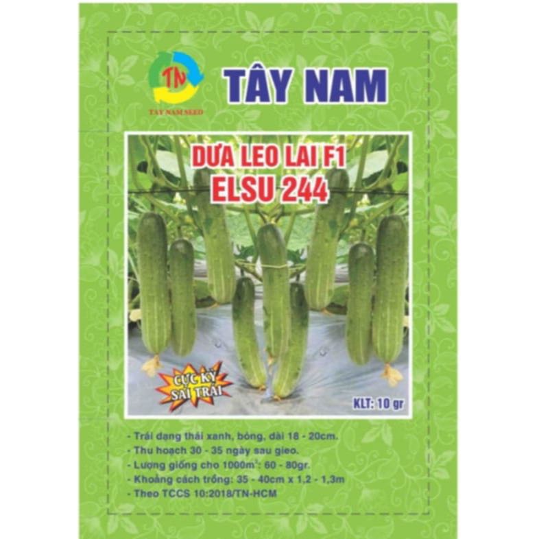 Hạt Giống Dưa Leo lai F1 ELSU 244 (10G) | Shopee Việt Nam