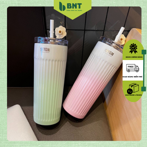 Bình Giữ Nhiệt Tyeso Seygm Inox 304 500ml Kèm Ống Hút Và Nút Đậy - Ly Giữ Nhiệt Cao Cấp Nắp Có ...
