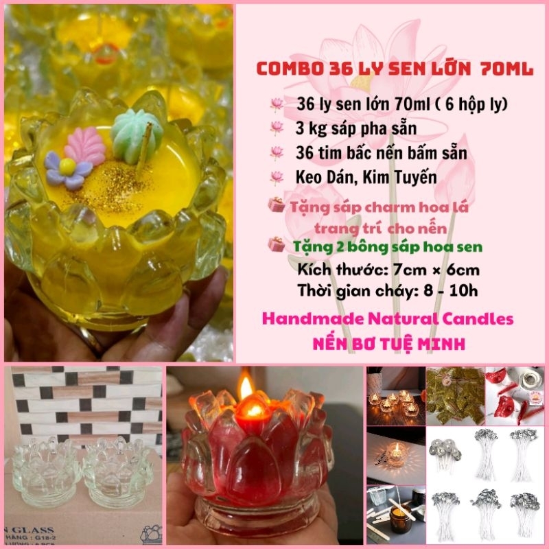 Combo 36 Ly Sen Lớn Làm Nến Bơ Cúng Dường 70ML( Nguyên Liệu Nến Bơ Tuệ ...
