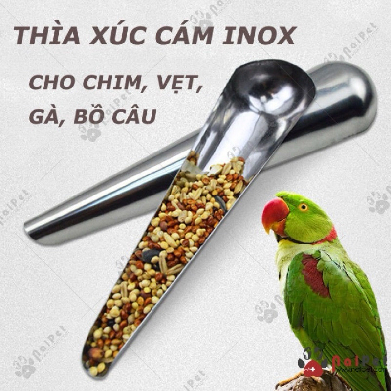 Thìa xúc cám inox dành cho tất cả các loại chim cảnh Giang Jun-phụ kiện ...