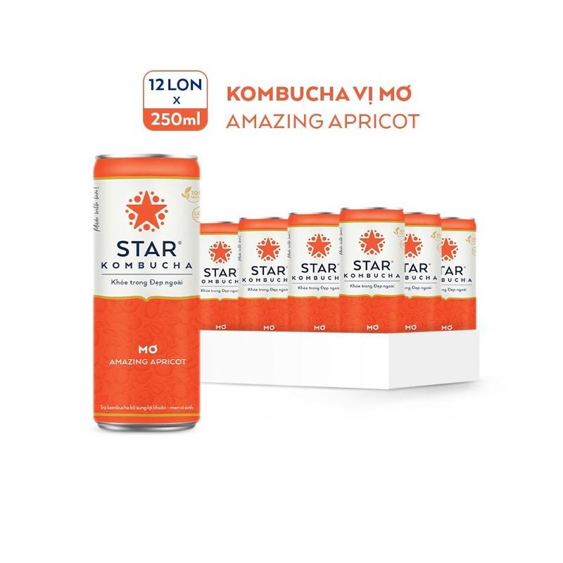 Thùng 12 lon trà STAR KOMBUCHA Mơ / Apricot (250ml/lon) - Trà lên men ...