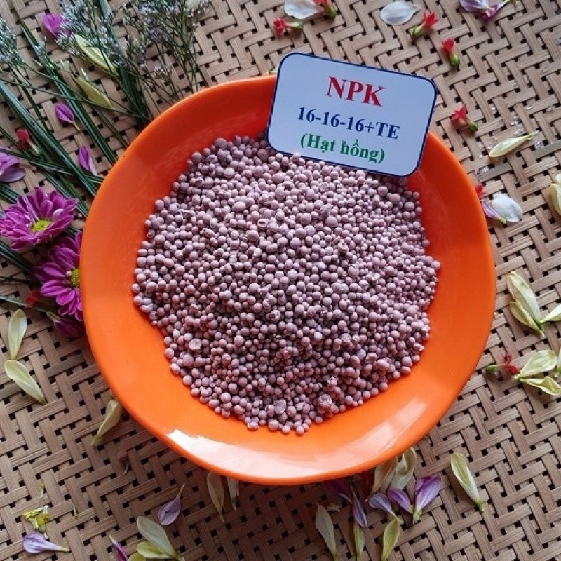 PHÂN BÓN: NPK 16.16.16+TE (CHLB NGA)-HẠT HỒNG( túi lẻ 1kg) | Shopee Việt Nam