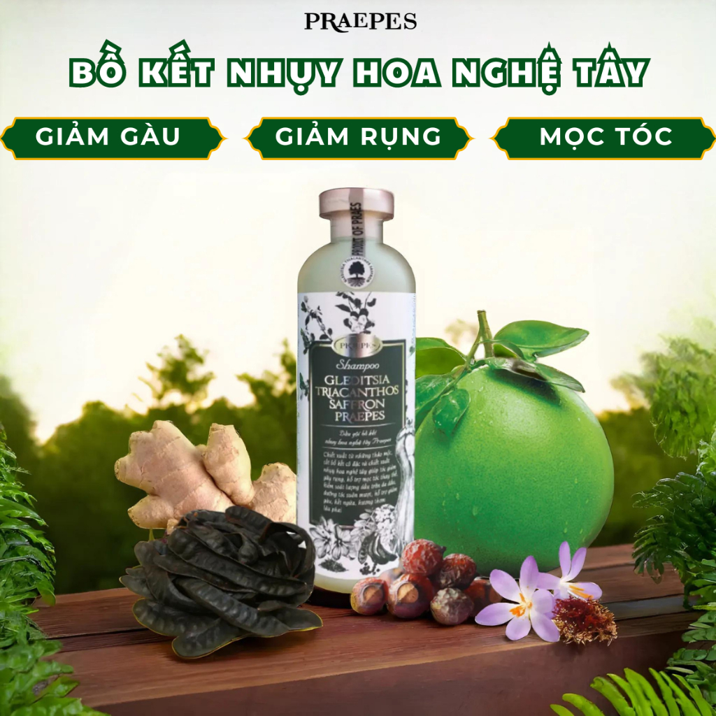 Dầu gội bồ kết bưởi gừng Praepes nhụy hoa nghệ tây giảm sạch gàu phục ...