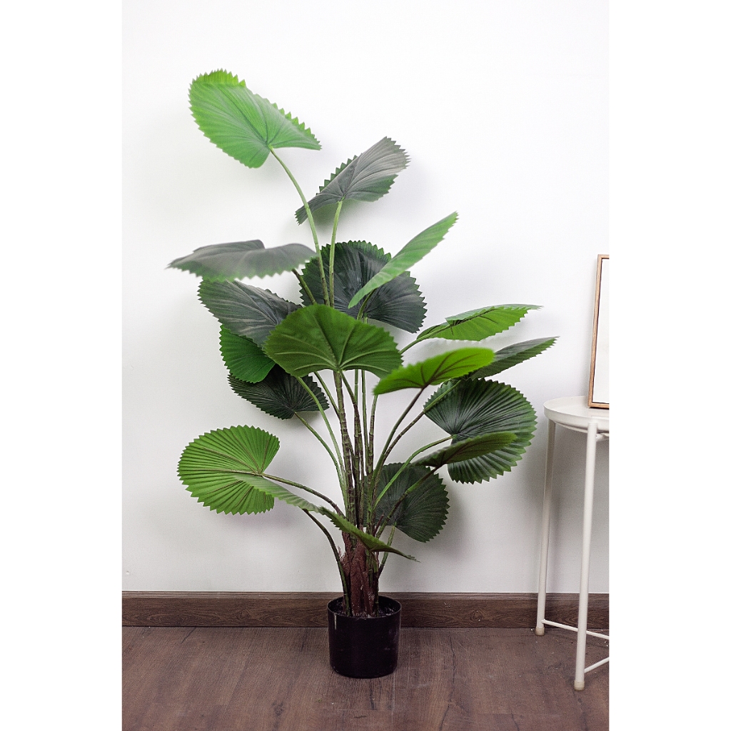 Cây cọ giả bằng nhựa mô phỏng giống thật - Jassi Decor | Shopee Việt Nam