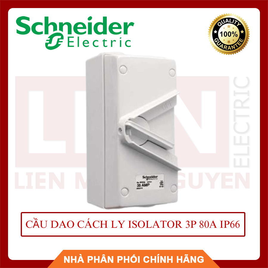 Schneider Cầu dao cách ly Isolator 3P 80A IP66 WHT80_GY_G19 | Shopee ...