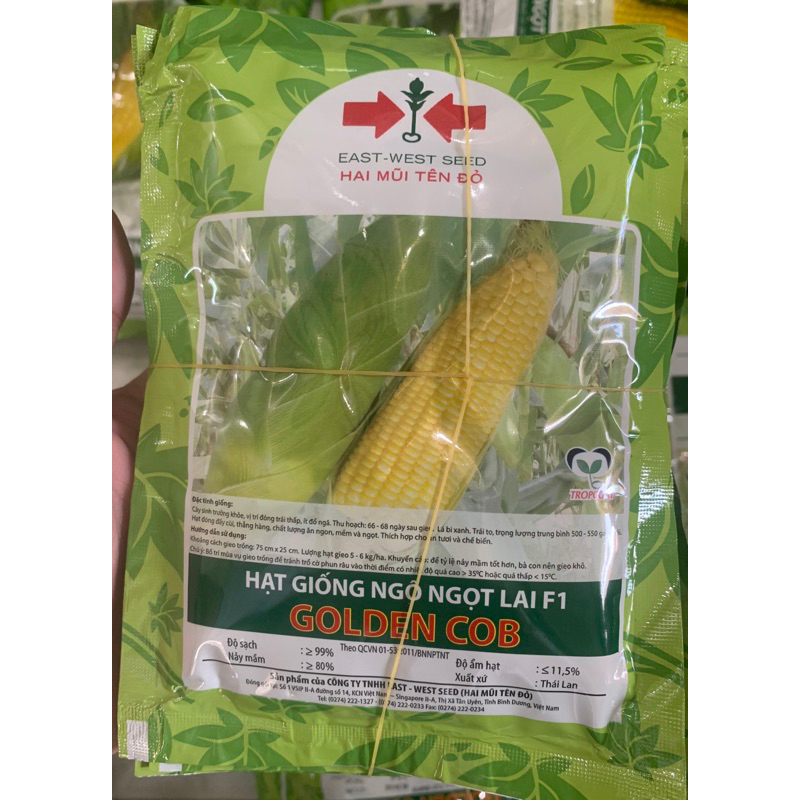 Hạt Giống Ngô Ngọt Lai F1 GOLDEN COB Năng Suất Cao 50gram | Shopee Việt Nam