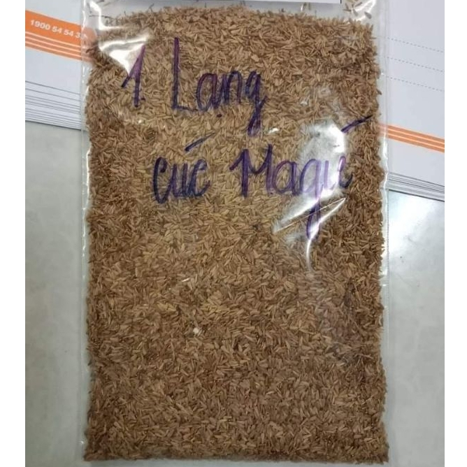 1 lạng hạt giống cúc magic/ cúc thúy đà lạt | Shopee Việt Nam