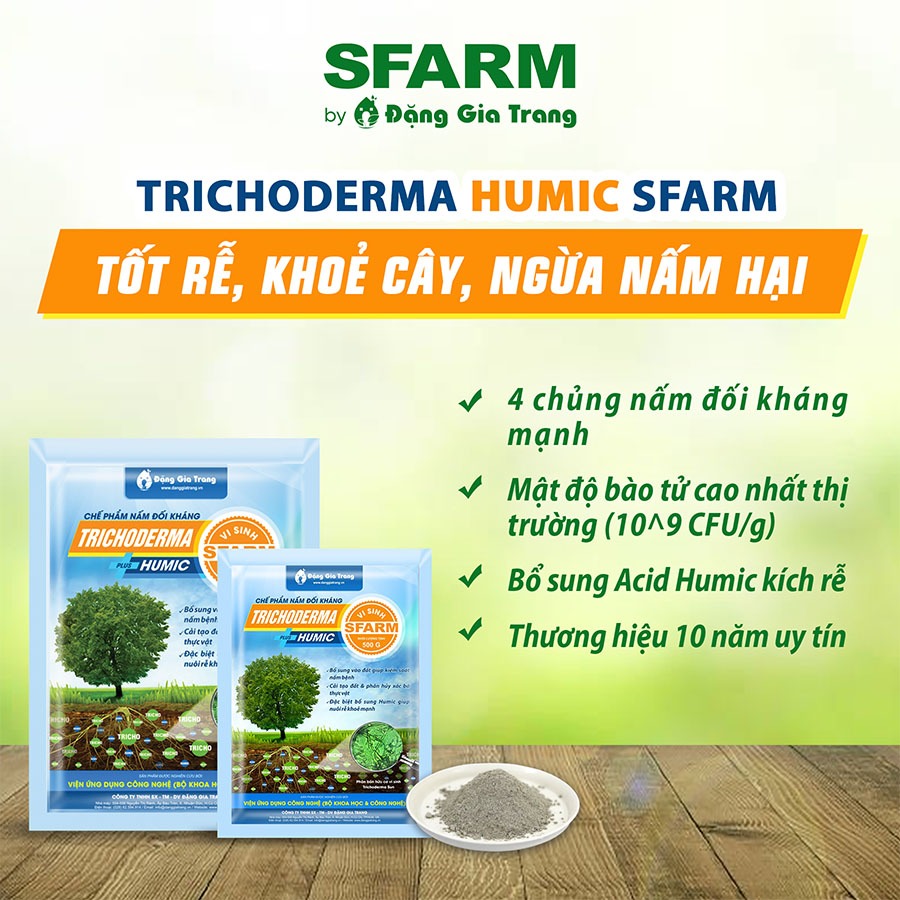 TRICHODERMA PLUS SFARM CHẾ PHẨM NẤM ĐỐI KHÁNG GÓI 1KG - CHÍNH HÃNG ...