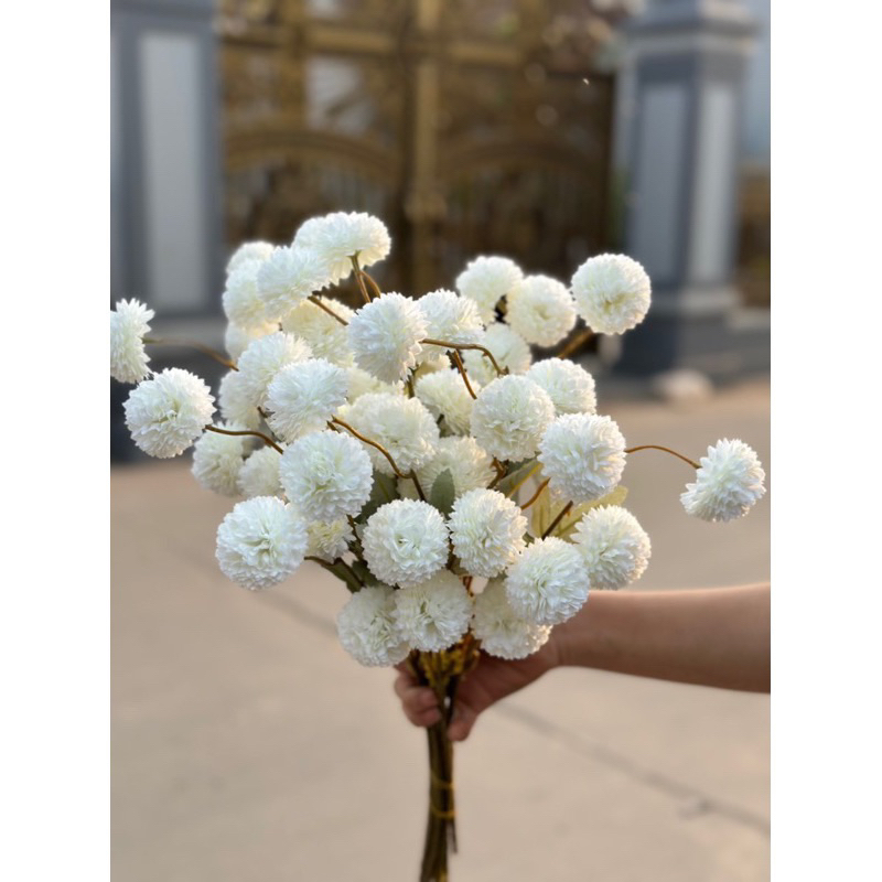 hoa bing bông / hoa bồ công anh | Shopee Việt Nam