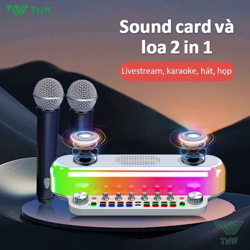 TNW SY12 Live SoundCard SetVới Bộ trộn âm thanh Mic Condenser Thẻ âm ...