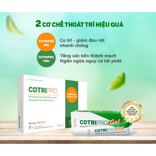 Cotri Pro & Cotri ProGel 25g - Hỗ trợ tăng sức bền thành mạch, giúp ...
