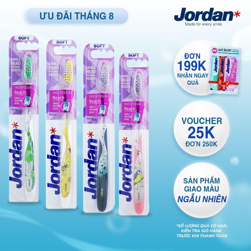 Combo 4 Bàn chải đánh răng Jordan Individual Reach, Lông mềm chữ S ...