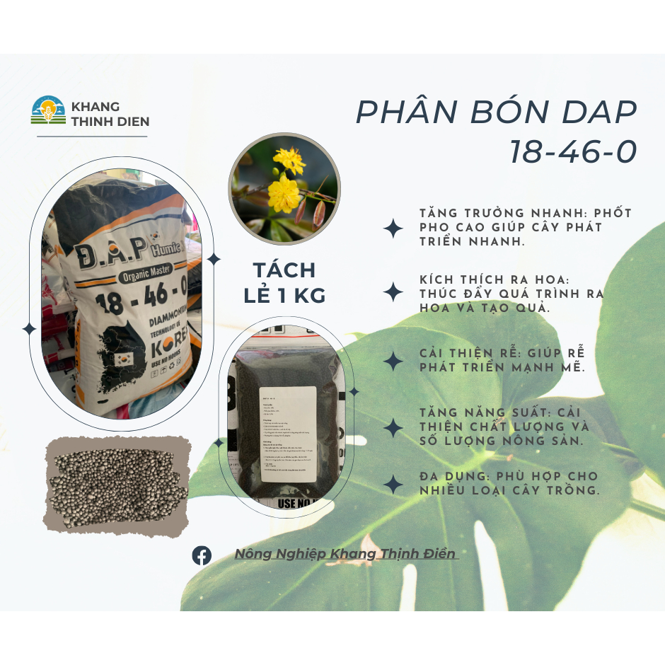 [ 1KG ] Phân Bón DAP 18-46-0 - Cây ra lá xanh tốt,phát triển mạnh mẽ ...