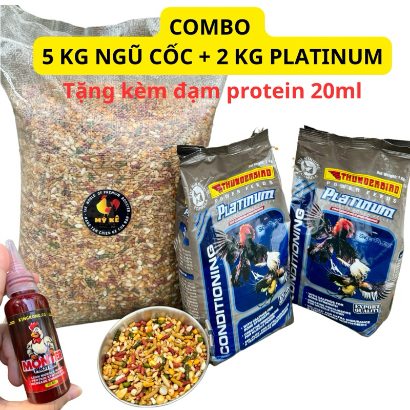 [Tặng kèm đạm protein 20ml] Combo thức ăn cho gà đá gồm 5kg ngũ cốc và ...