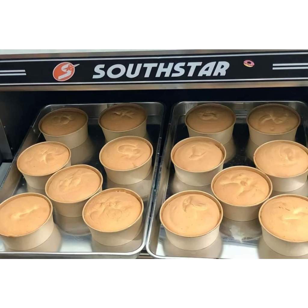 Lò nướng 2 khay Southstar, Lò sàn 1 tầng 2 khay dùng điện, dùng gas, Lò nướng công nghiệp, Lò ...