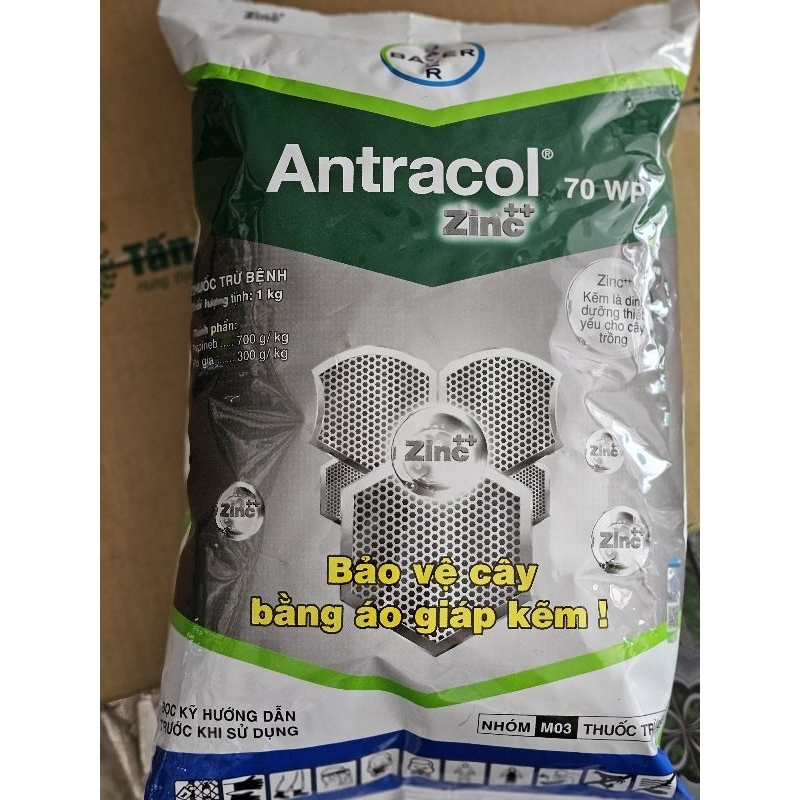 ANTRACOL 70WP BAYER - 1KG | Shopee Việt Nam