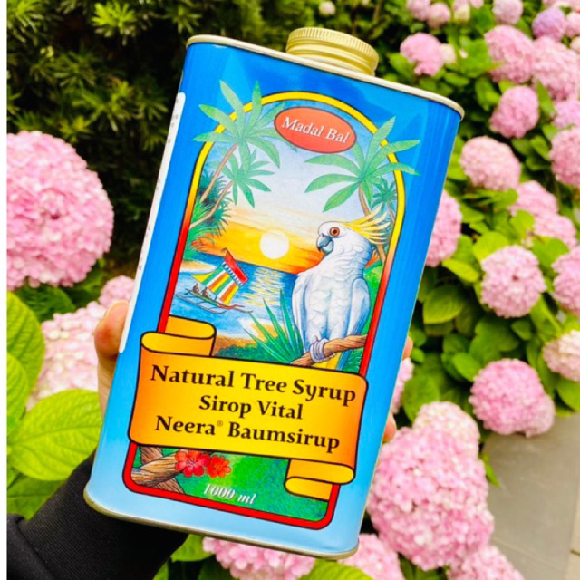Siro Detox Neera Madal Bal Natural tree Syrup lá phong 1L | Shopee Việt Nam