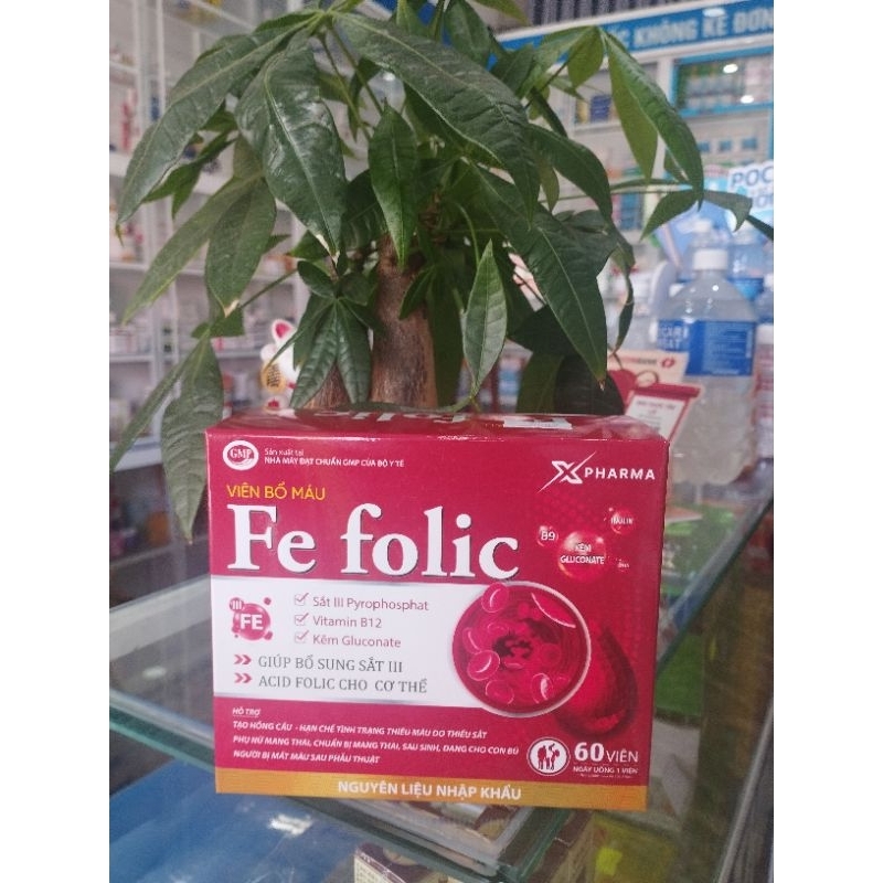 120k hộp 60 viên uống bổ máu fe folic | Shopee Việt Nam