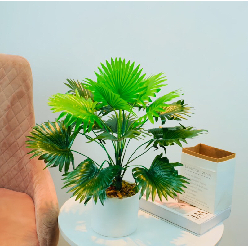 Cây giả - Cây cọ giả 18 lá cao cấp - Decor Trang trí nhà cửa | Shopee ...