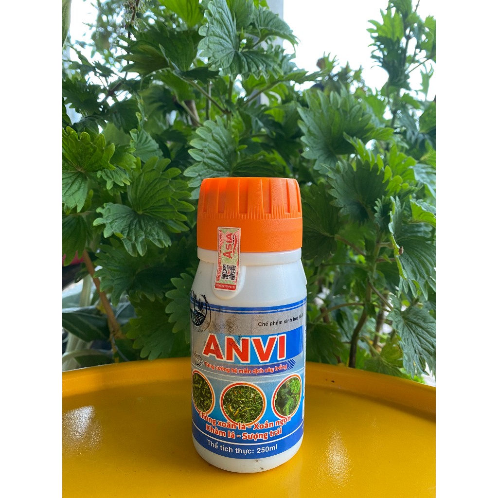 ANVI 250ml - Chống xoăn lá, xoăn ngọn, khảm lá, sượng trái, tăng cường miễn dịch cây trồng ...