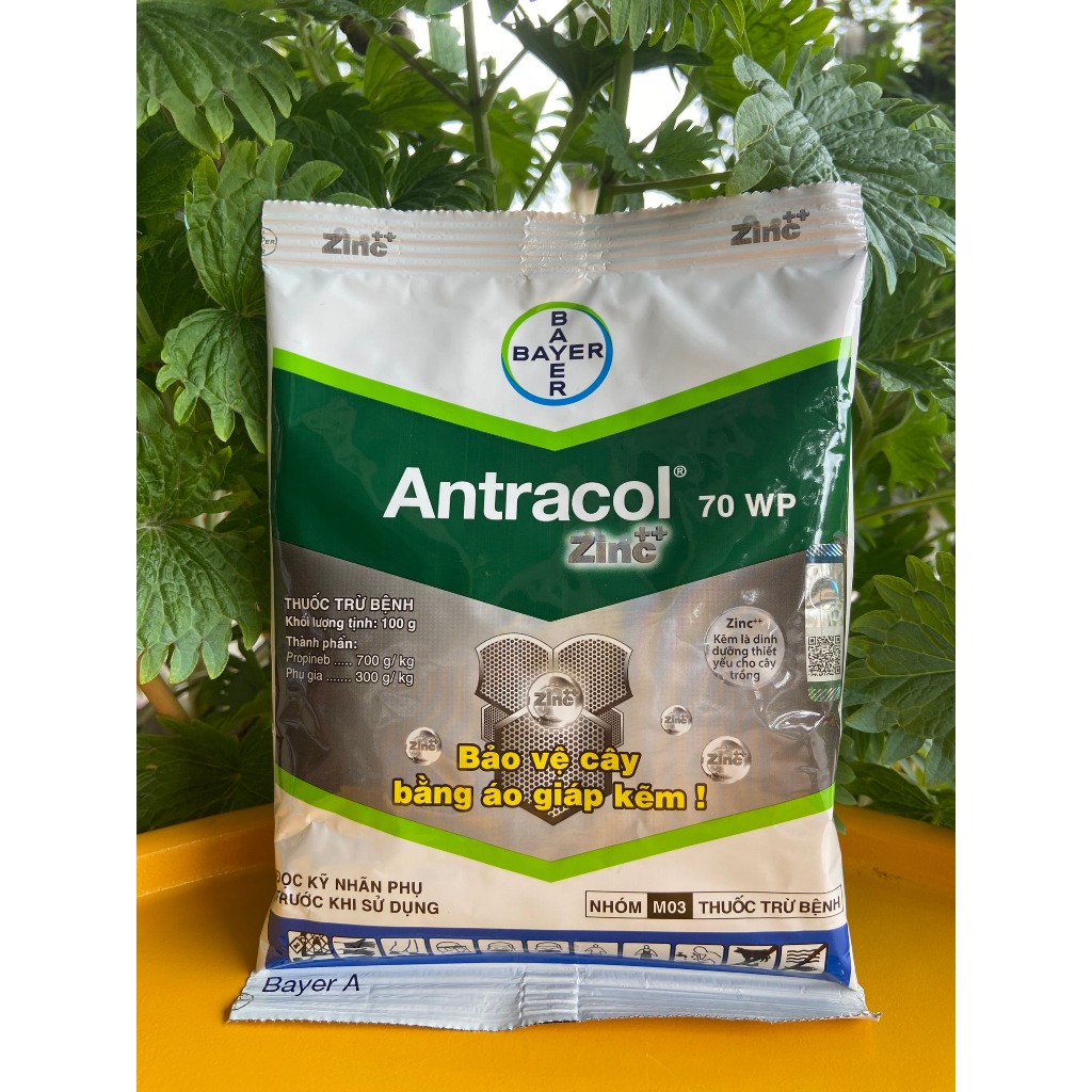 ANTRACOL ZINC++ 70WP chính hãng Bayer -100g- Bảo vệ cây bằng áo giáp ...