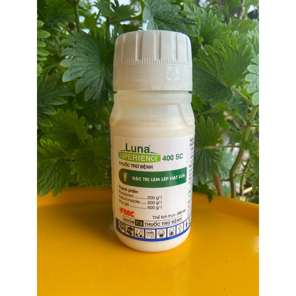 LUNA EXPERIENCE 400SC -250ml - lem lép hạt lúa | VTNN THẦY TUẤN ...