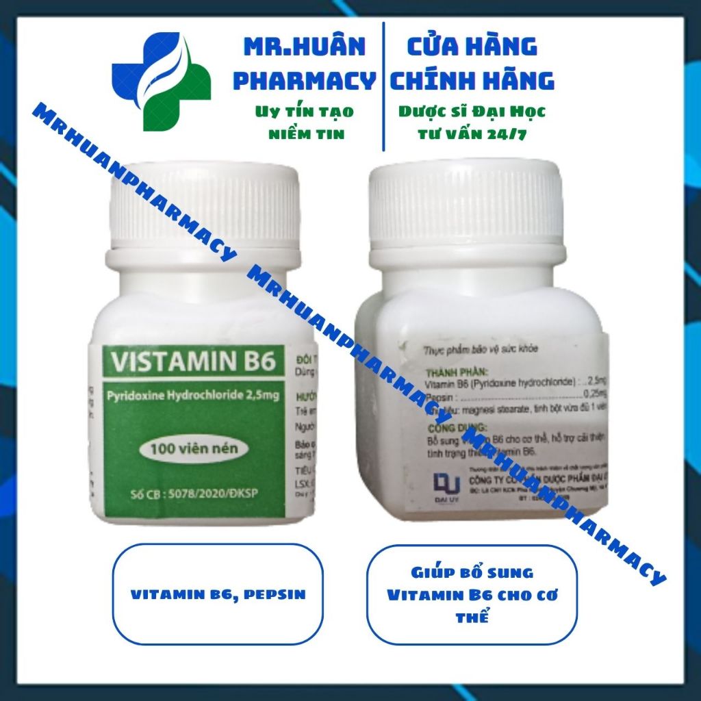 5 Lọ Vistamin B6 Đại Uy (Lọ 100 viên) - Giúp bổ sung Vitamin B6 cho cơ thể | Shopee Việt Nam