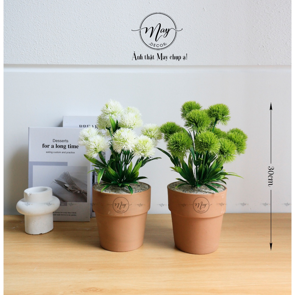 Cây giả, chậu Hoa Wicky (Cẩm chướng Nhật) để bàn trang trí cao 30cm ...