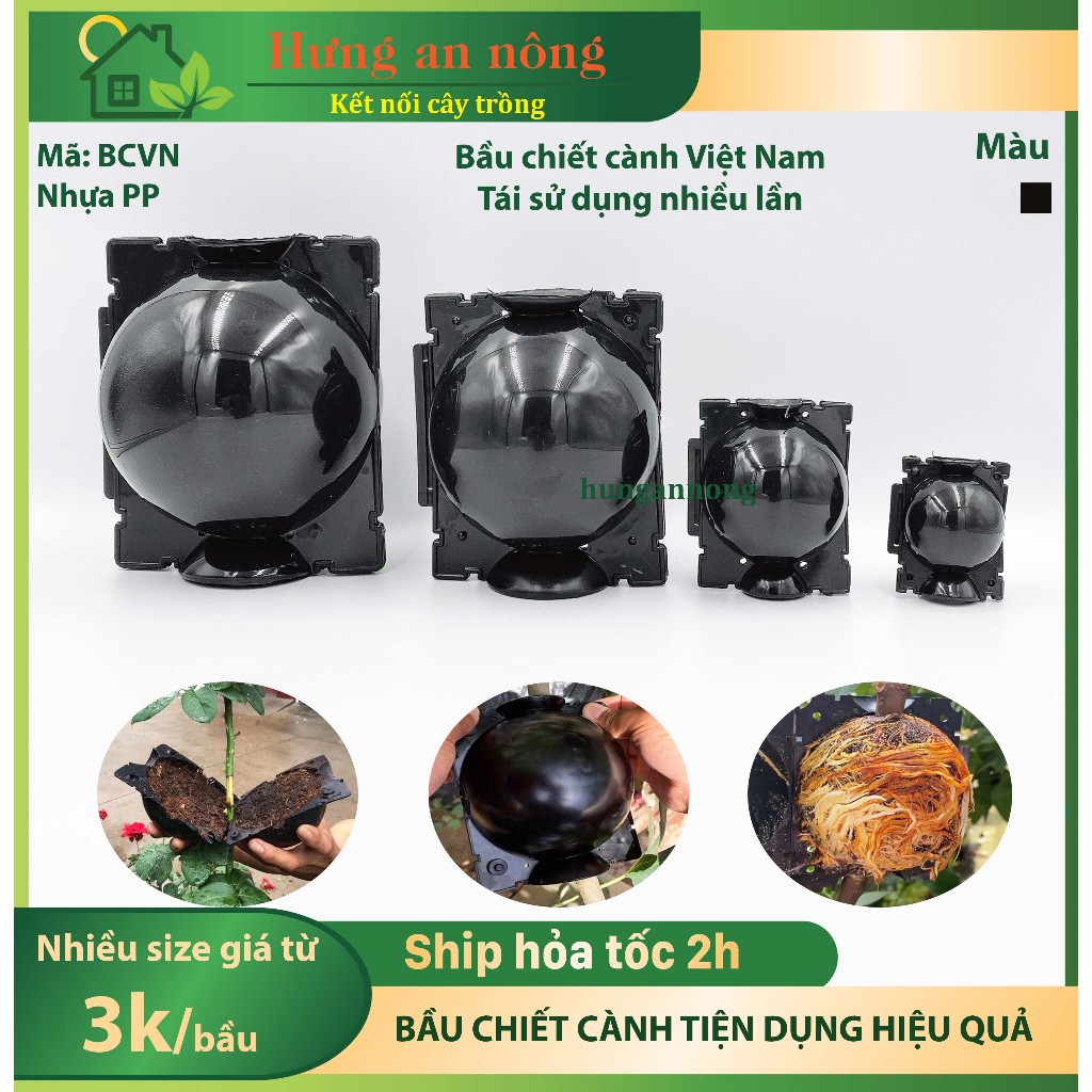 BCVN - Sét 10 bầu nhựa PP chuyên hỗ trợ chiết cành giúp rễ chiết sinh ...