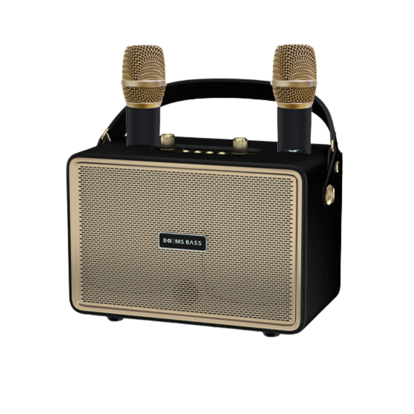 Loa bluetooth BoomBass M4202 kèm 2 micro không dây xách tay công xuất ...