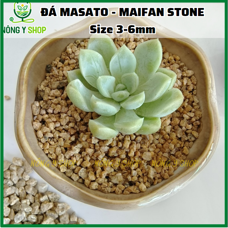 á Khoáng Masato, maifan Túi 1kg, 3-6mm, Rải Mặt, Kích Rễ, Sen Đá Lên Màu Nhanh, xương rồng ...