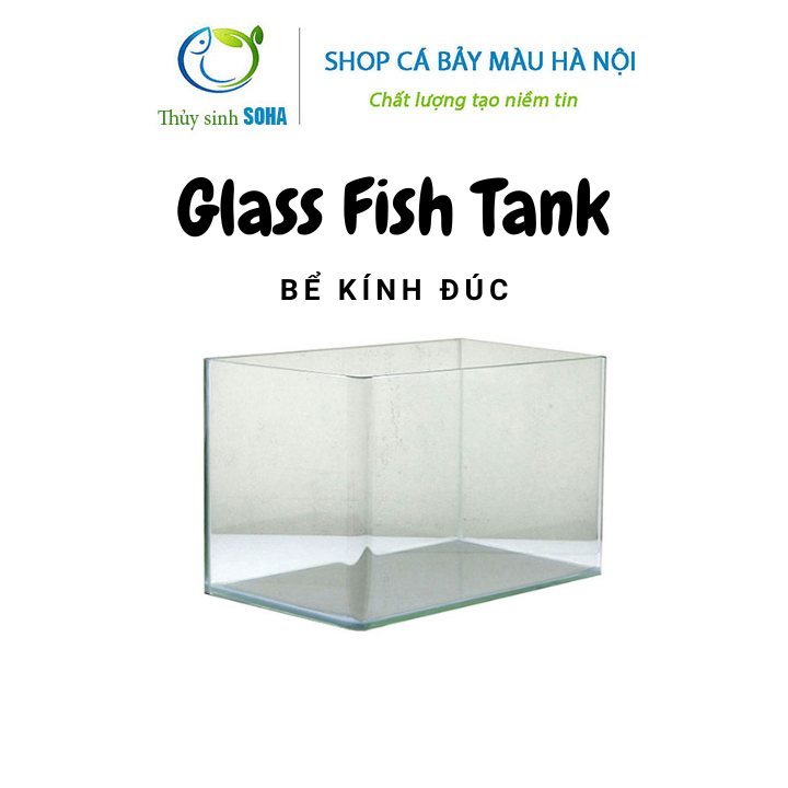 [SHIP TOÀN QUỐC] Bể kính đúc [Size:18x13x15cm] | Bể cá mini | Hồ thủy ...