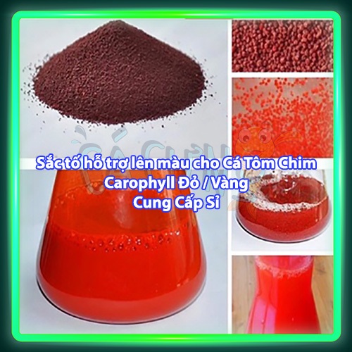 Carophyll trộn thức ăn cho cá tôm chim cảnh (1 gram) - Sắc tố Đỏ Vàng ...