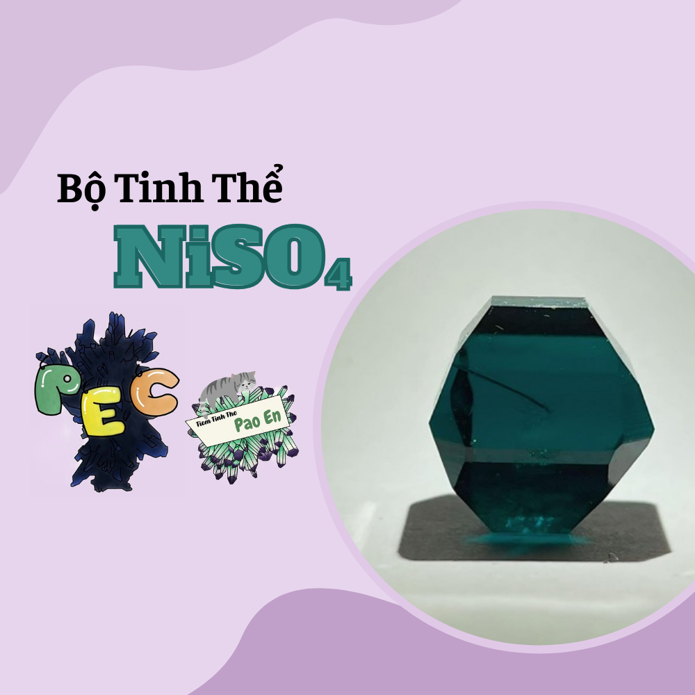 'NiSO4' Combo nuôi tinh thể xanh lá ngọc ( có giấy hướng dẫn ) | Shopee ...