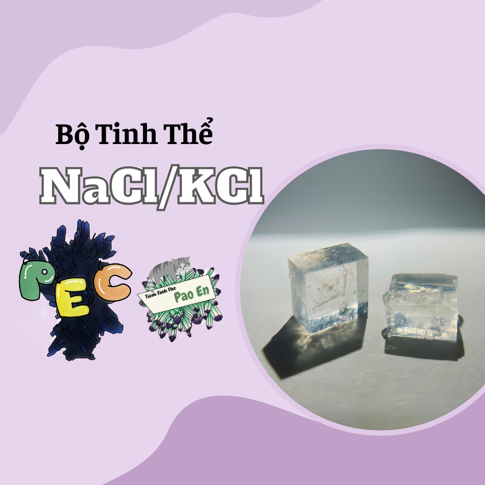 [NaCl/KCl] Combo nuôi tinh thể muối TRẢI NGHIỆM ( có giấy hướng dẫn ...