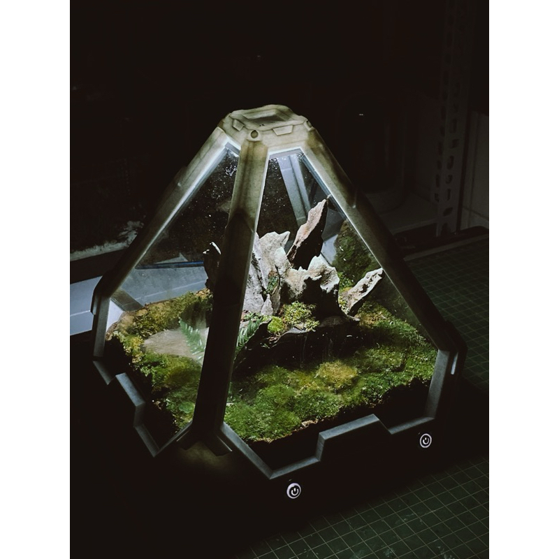 Đèn ngủ Tank thực vật pyramid P2416 có đèn, phun sương | Shopee Việt Nam
