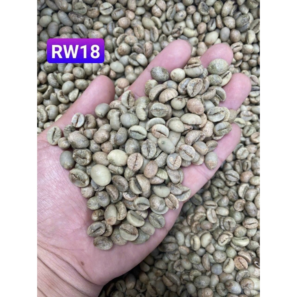 [Vụ 2023] Cà phê nhân xanh Robusta Wash | Shopee Việt Nam