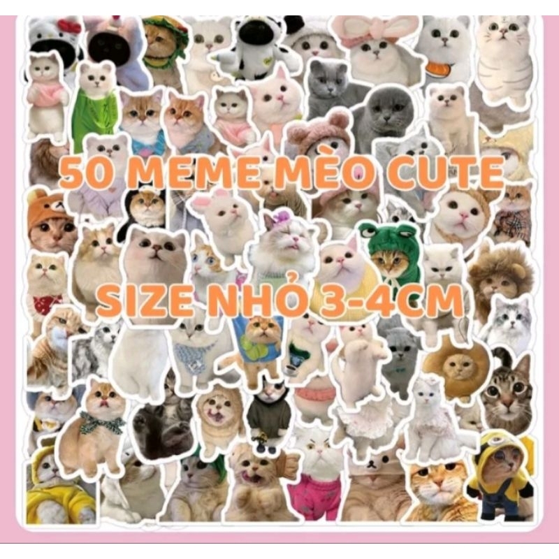 hình dán meme mèo cute | Shopee Việt Nam