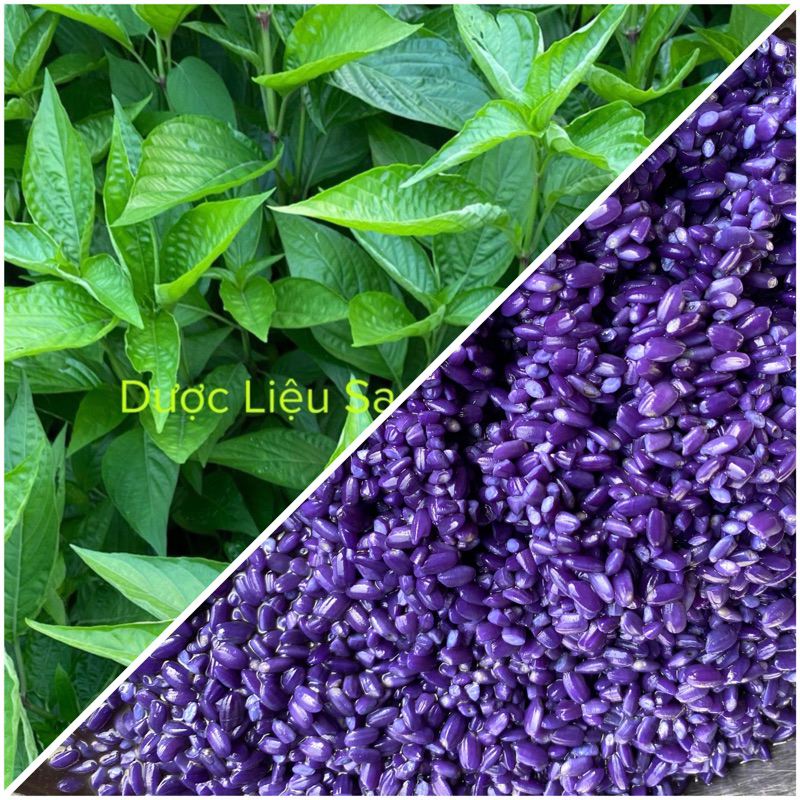 1KG Lá Cẩm Tím Tươi/làm xôi tím/nấu chè/màu tím đẹp tự nhiên | Shopee ...