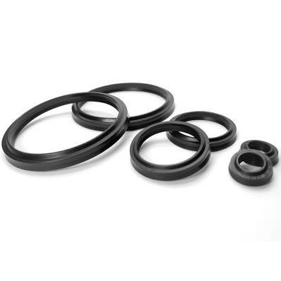 Phốt Thủy Lực Chắn Bụi LBH-11.2 (11.2*19.2*4.5*6.5mm) Dust Wiper Seals ...