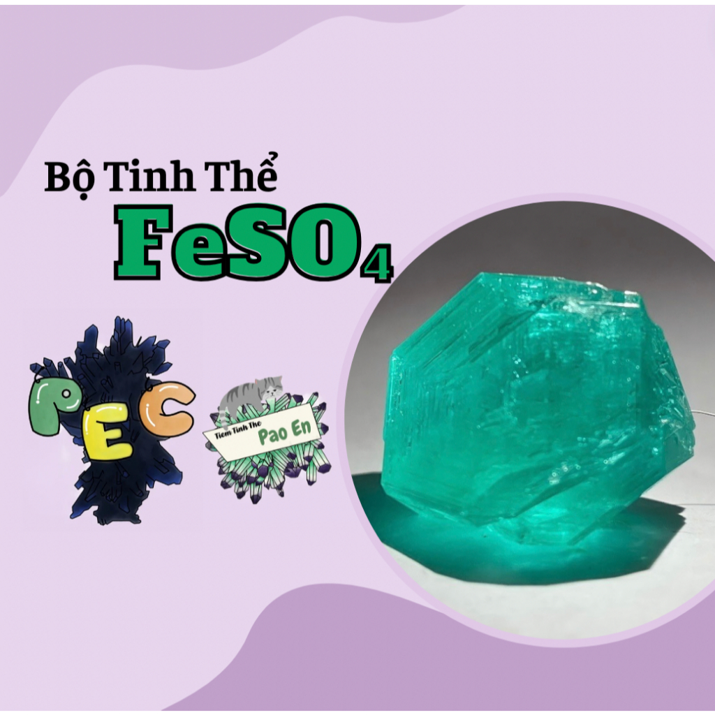 [FeSO4] Combo nuôi tinh thể xanh lá trong ( có giấy hướng dẫn ...