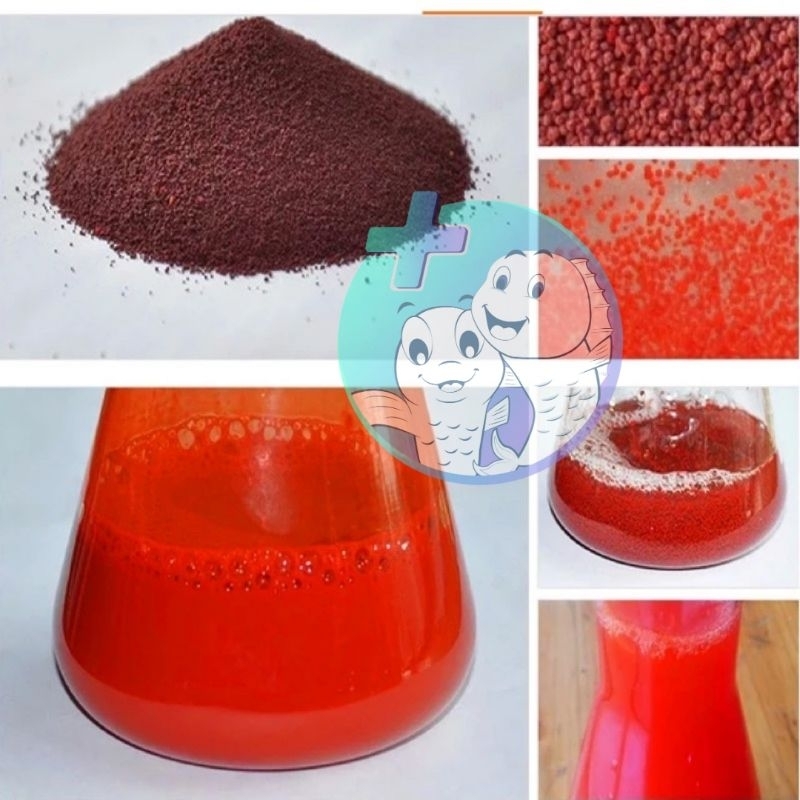 Carophyll pink chất tạo màu đỏ | vàng cho cá cảnh đẹp - 1gram | Shopee ...