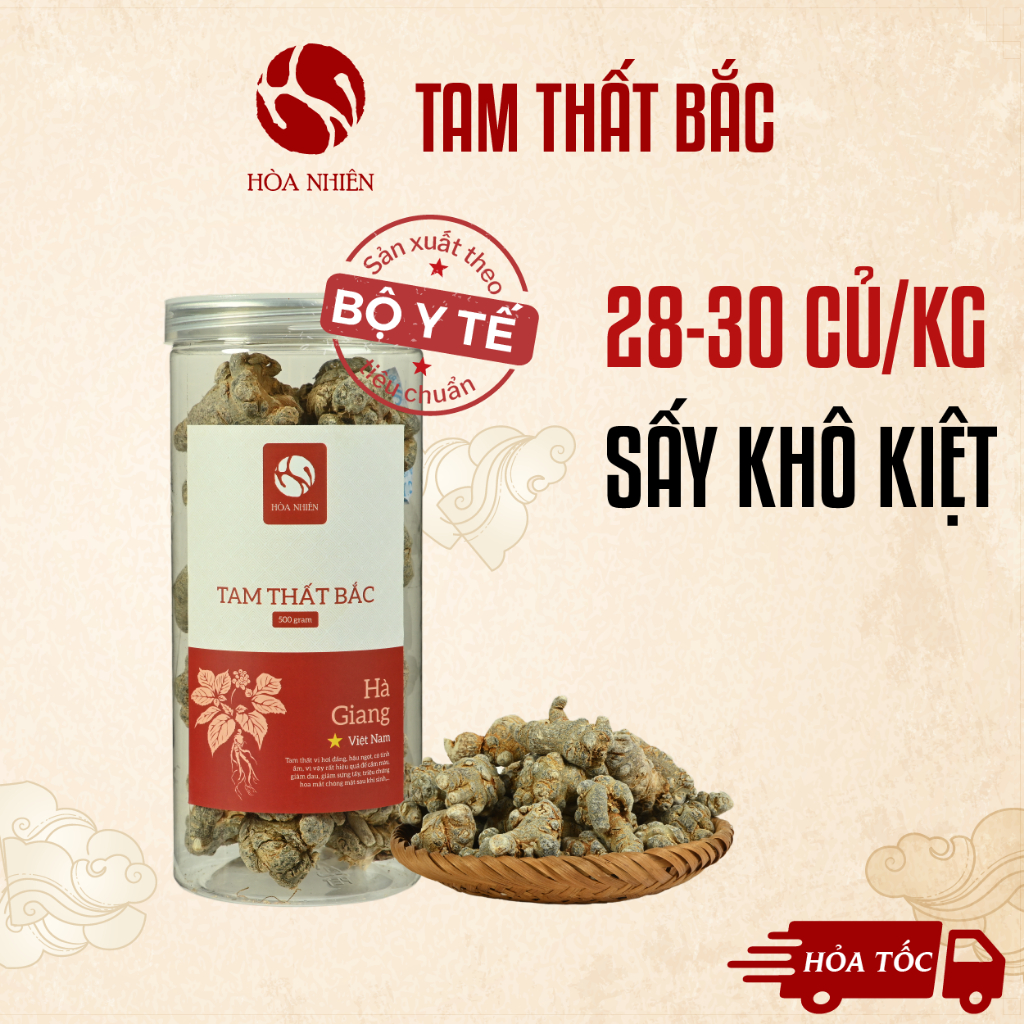 Tam Thất Bắc, bột Tam Thất Bắc nguyên chất, củ Tam Thất size to đại ...