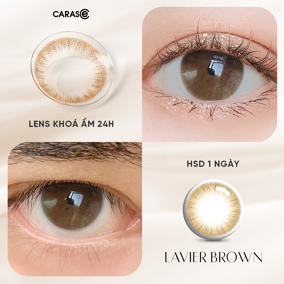 Kính áp tròng khoá ẩm 24H 1 Ngày Màu Nâu CARASE, lens cận LAVIER BROWN ...