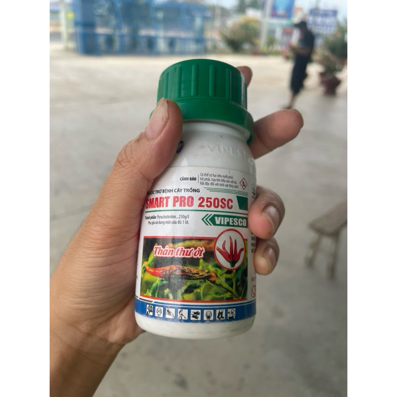 Smart Pro 250sc chuyên trừ thán thư Ớt - Phân bón cây | Shopee Việt Nam