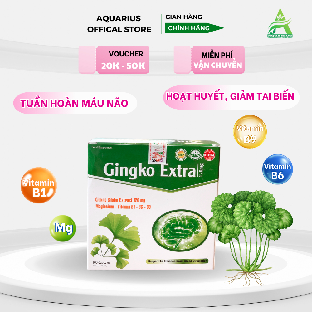 Viên bổ não Gingko Extra hỗ trợ hoạt huyết, tăng cường tuần hoàn máu ...