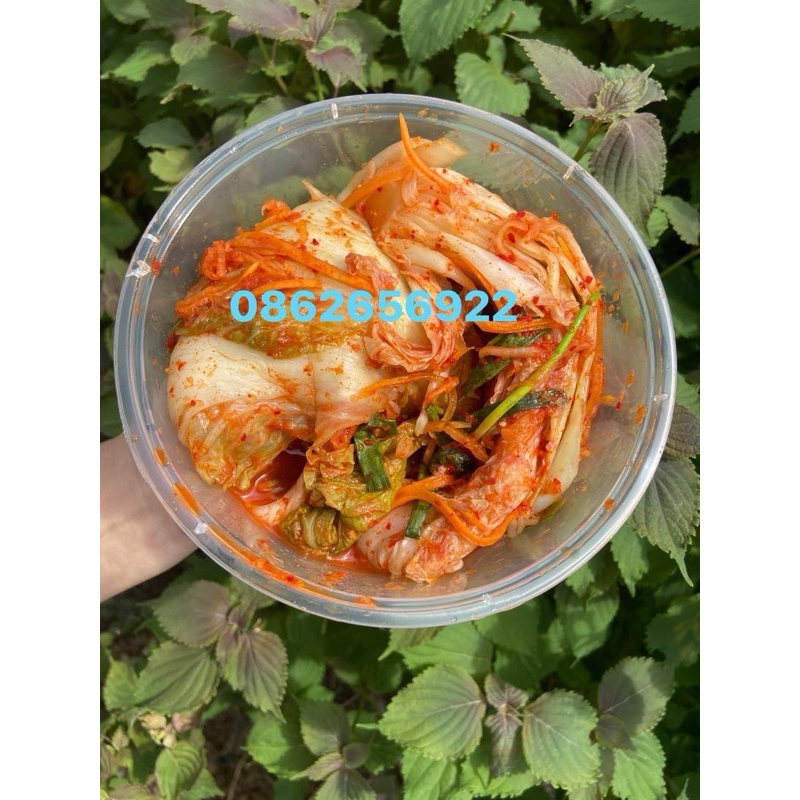 Kim Chi cải thảo Hàn Quốc chuẩn bị chua cay 500g | Shopee Việt Nam