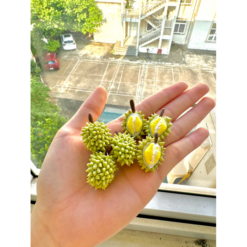 Mô hình quả sầu riêng từ đất sét (Durian clay), đồ chơi mô hình búp bê ...